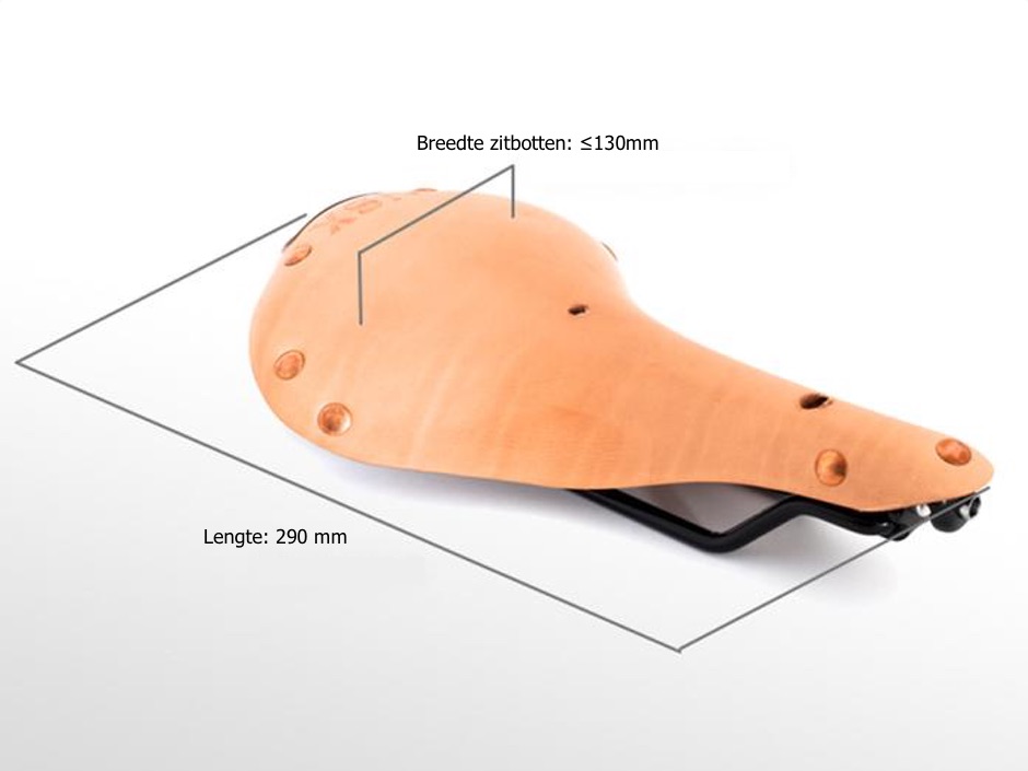 De quest voor een zadel | Kampeerwijzer